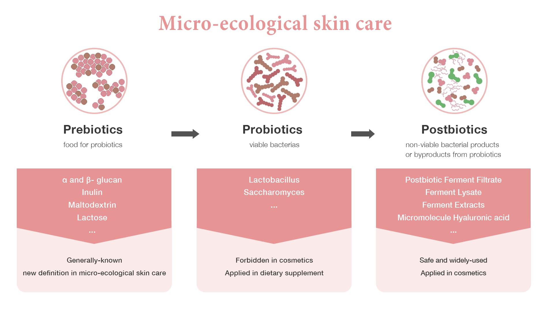 How leading skincare brands focus on skin microbiome? - UNICARE Biotech