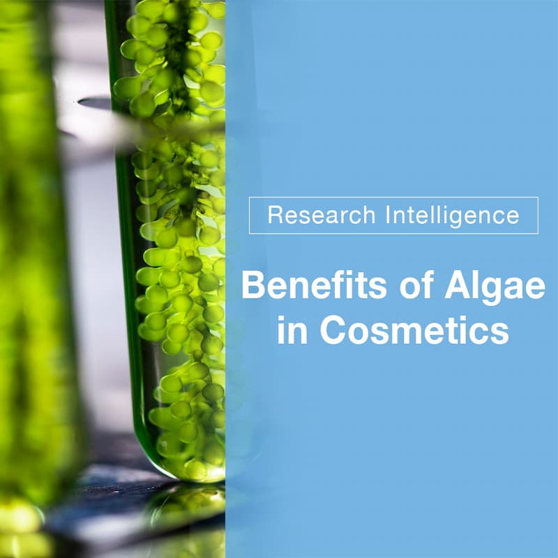 Benefits of Algae in Cosmetics: Unveiling the Secrets of How Algae ...