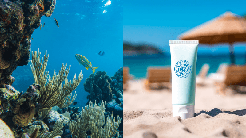 Focusing on Ocean-Friendly Sunscreen Trends: How International Brands ...